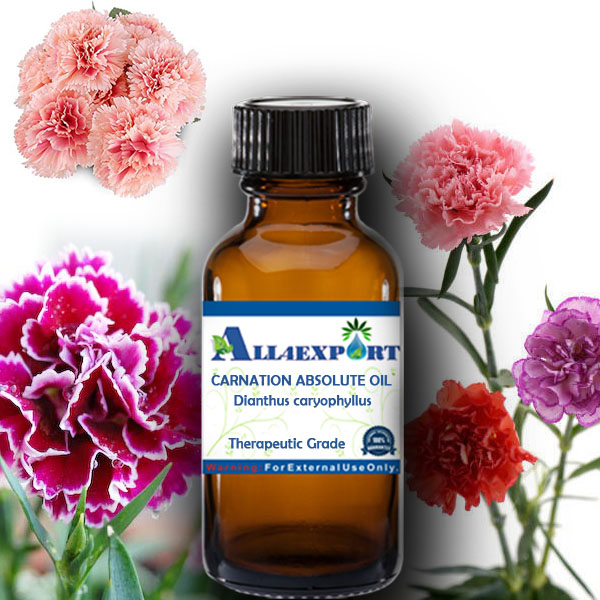 CARNATION ABSOLUTE OIL